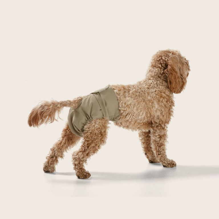 Snooza - Washable Dog Nappy - Twin Pack for Female Dogs - Southern Pet ...